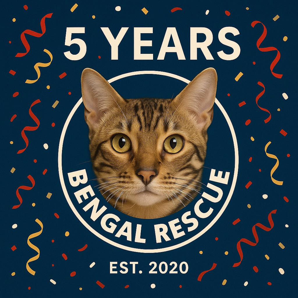 Bengal Rescue Celebrates 5 Years of Lifesaving Work! – Bengal Rescue